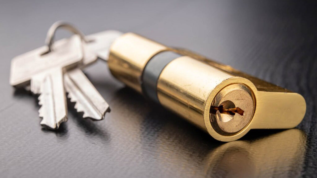 10 Best Lock Cylinders (Reviews) – Grand Goldman