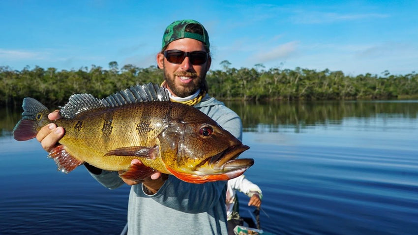 6 Best Spots Where to Fish for Peacock Bass in Florida (Full Guide ...