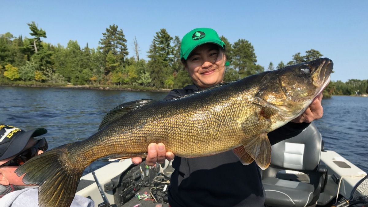 Can You Catch Boundary Water Fish with Braided Line? (Full Guide ...