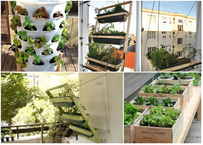 How to build a folding garden for your home or apartment – Grand Goldman