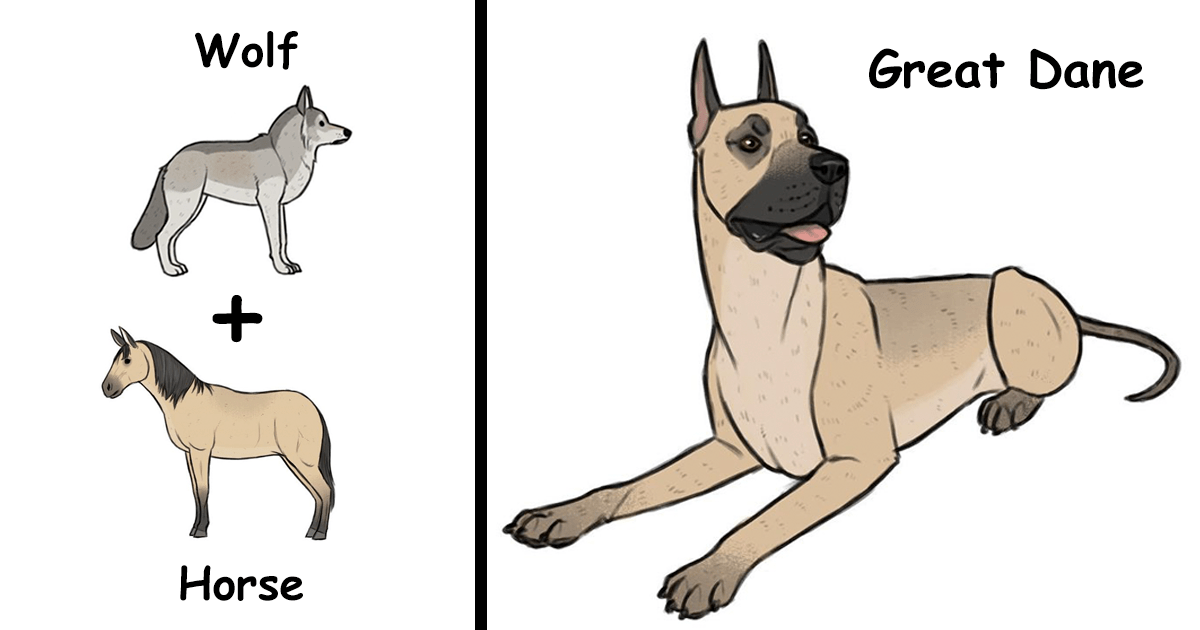 Artist Imagines The Origins Of ‘Unique Dog Breeds’ & Results Are Too ...